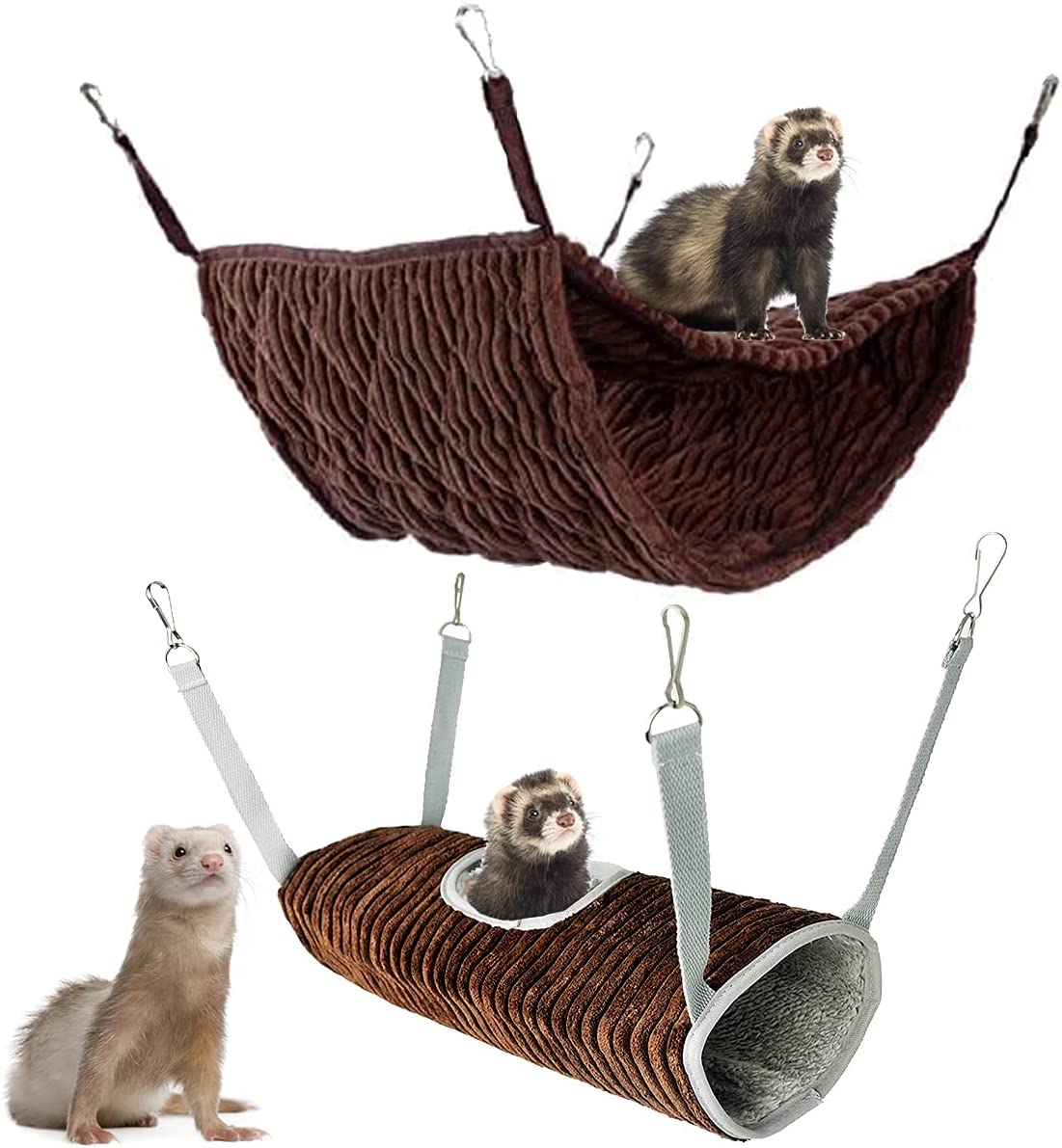 Frettchen - Artgerechte Haustiere Haltung